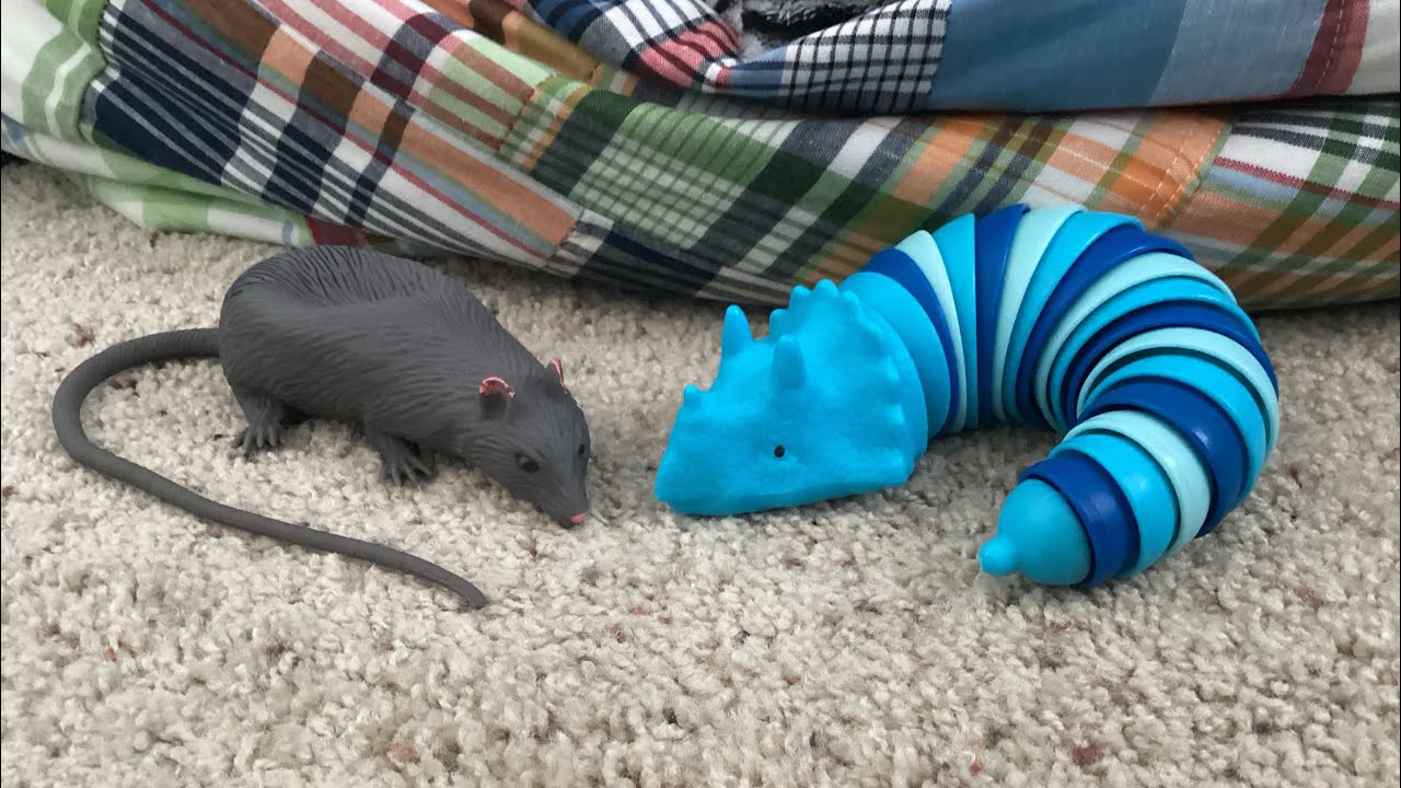 The RAT S1 E8 - YouTube