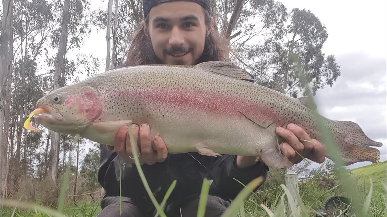 CAN'T BELIEVE THIS HAPPENED! & MONSTER TROUT - YouTube