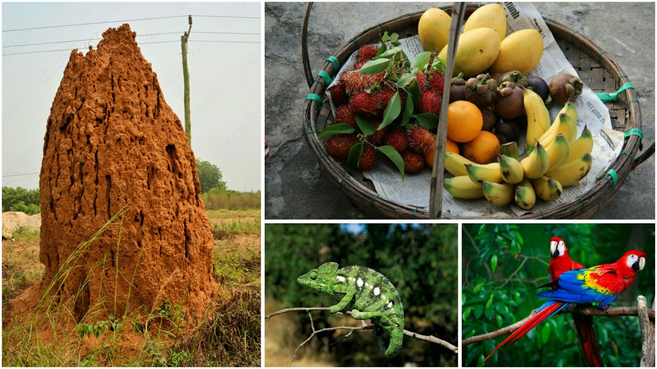 POWERFUL RITUALS AND SPELLS! For Successful New Year: How To Be Rich In ...