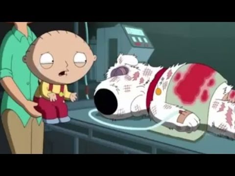 Family Guy - Brian Dies [HD] - YouTube