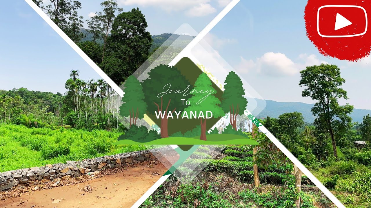 Exploring Wayanad: The Secret Behind its Natural Wild Beauty! - YouTube