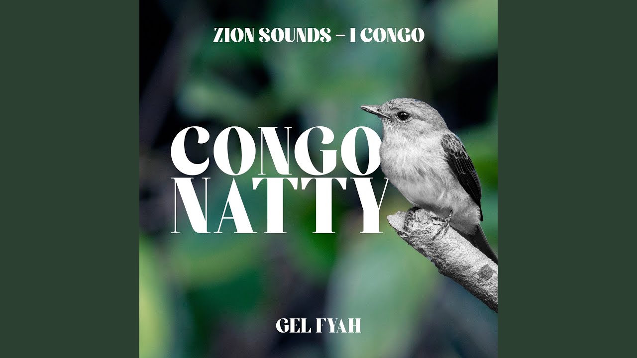 Congo Natty - YouTube