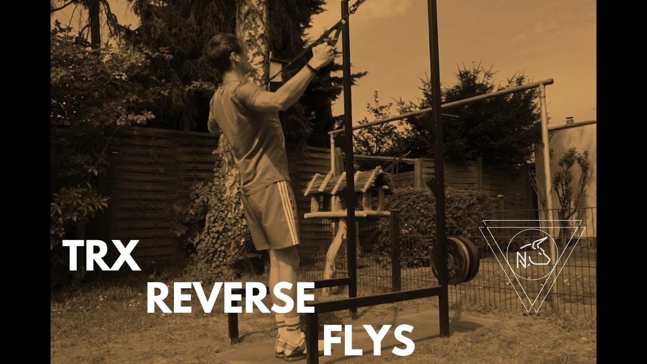 TRX Reverse Flys | Variante mit dem TRX-Band | Technik Tutorial - YouTube