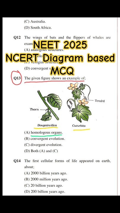 NEET UG 2025 | NCERT Diagram based MCQs Practice #evolution #mcqncert # ...