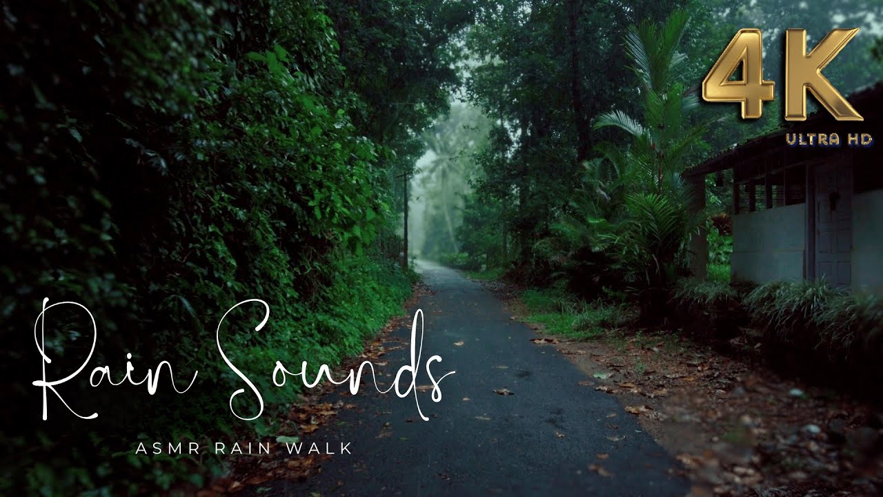 Velvet Rain: Dark Alley Rain Walk for Restful Sleep : ASMR Rain and ...