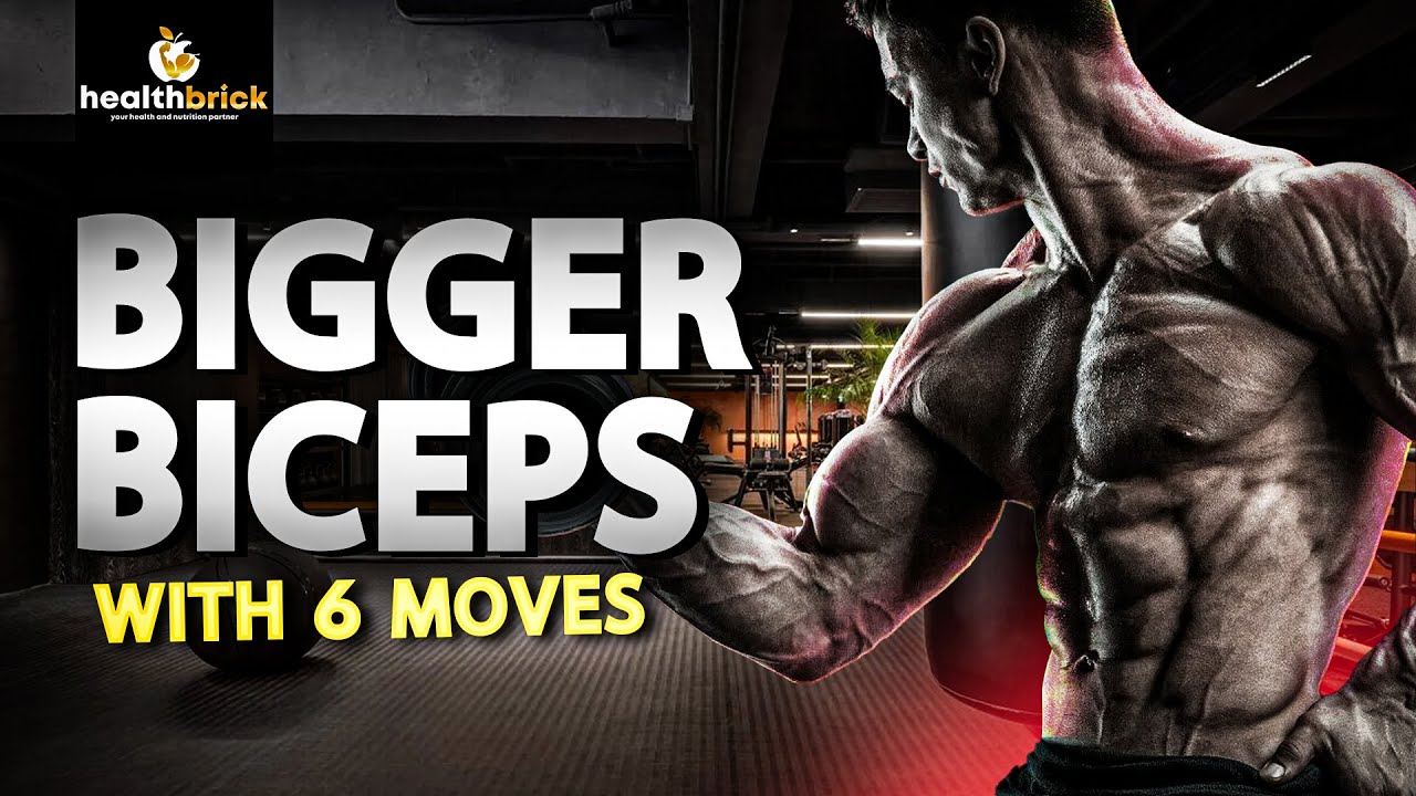 Biceps workout for beginners | Best biceps exercise | Healthbrick - YouTube