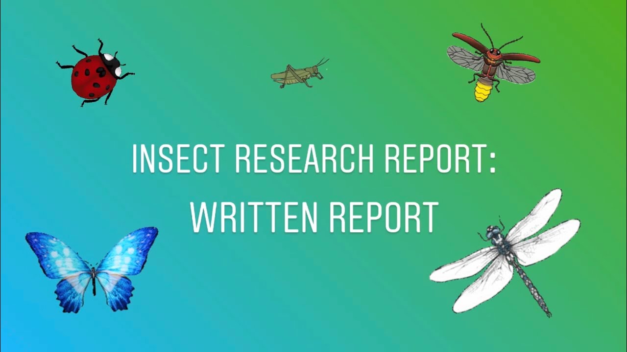 Insect Research Report: Written Report - YouTube