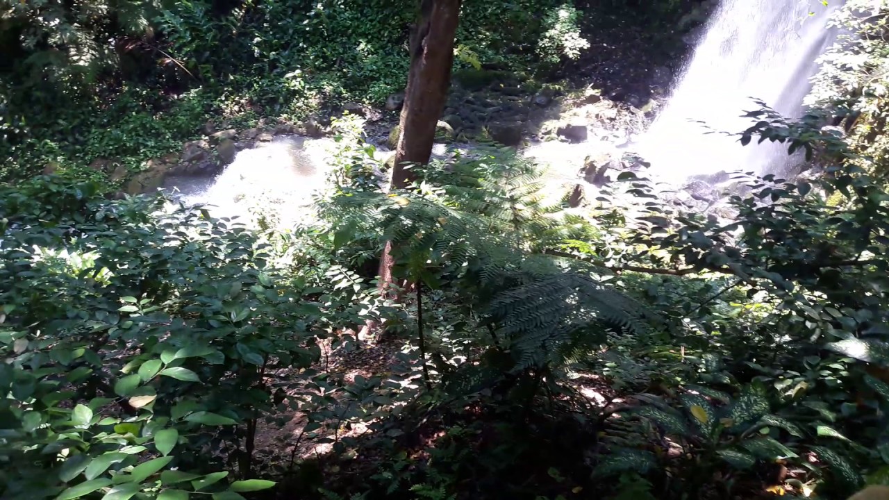 The Waterfall Aviary of the Jurong Bird Park - YouTube