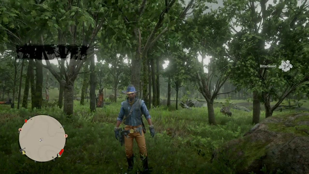 RDR2 Online: Bitterweed - Kamassa River - YouTube