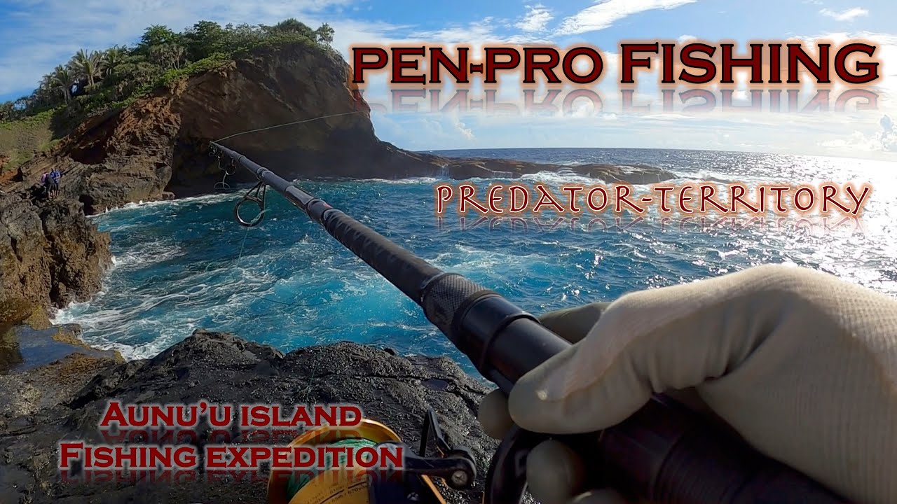 PREDATOR INFESTED TERRITORY Massive catches off the ledge of the Island ...