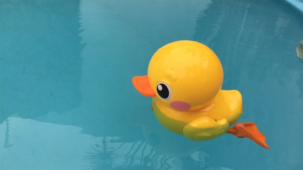 O PATO ROBÔ QUE ANDA E NADA NA PISCINA!! - YouTube