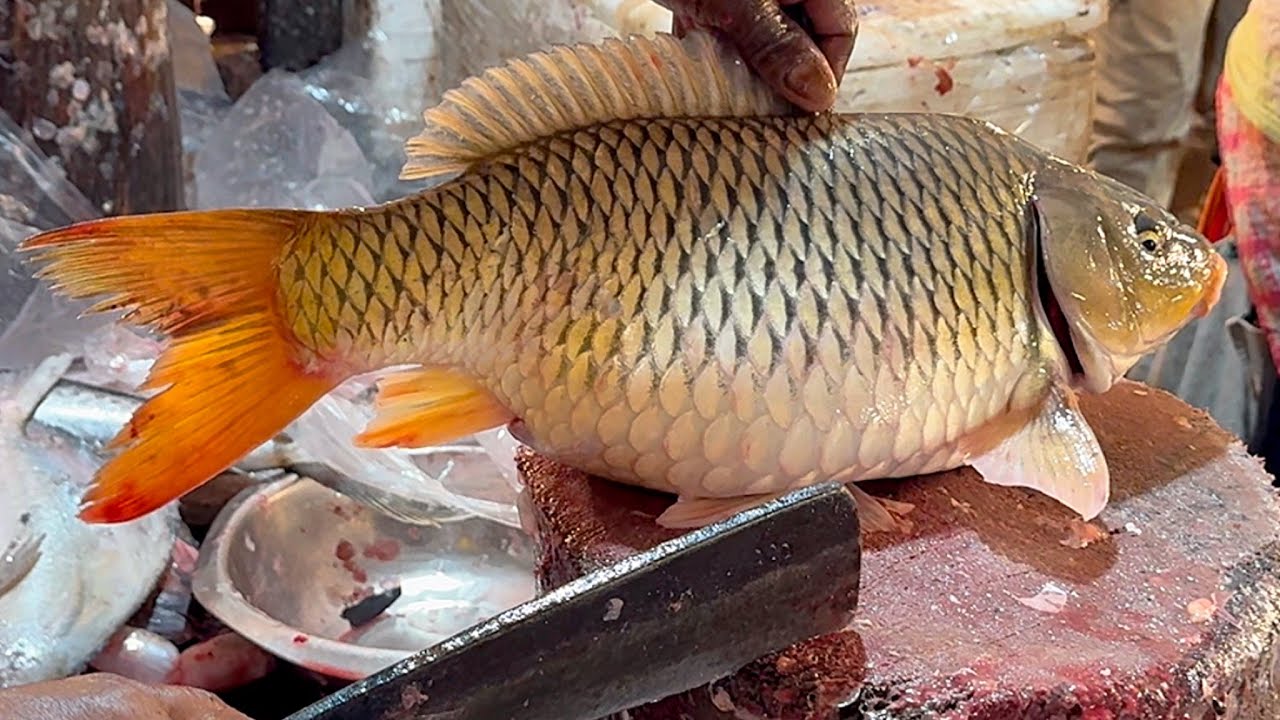 Amazing Carp Fish Cutting Skills | Fish Cutting Skills - YouTube