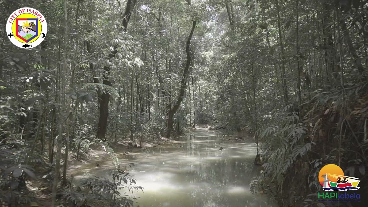 Maligue Forest Park - YouTube