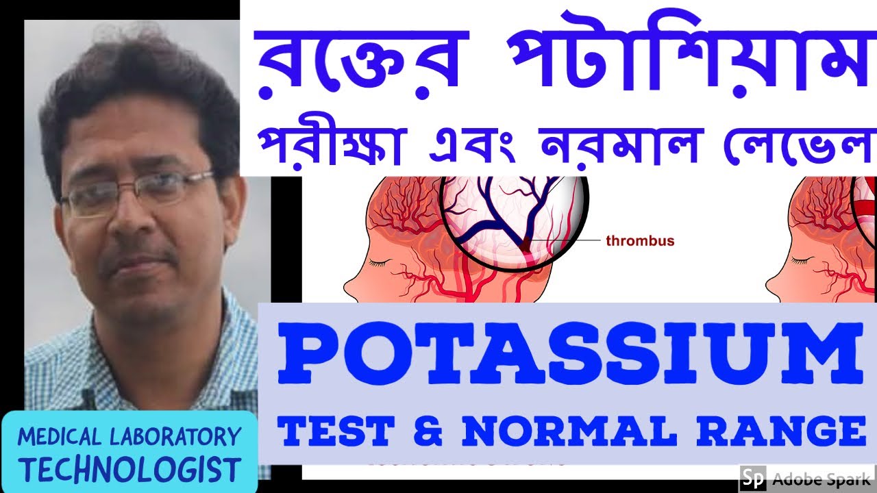 Potassium Test and Normal Range রক্তের পটাশিয়াম পরীক্ষা এবং নরমাল ...