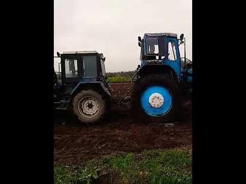 T 25 vs T 28     vtz