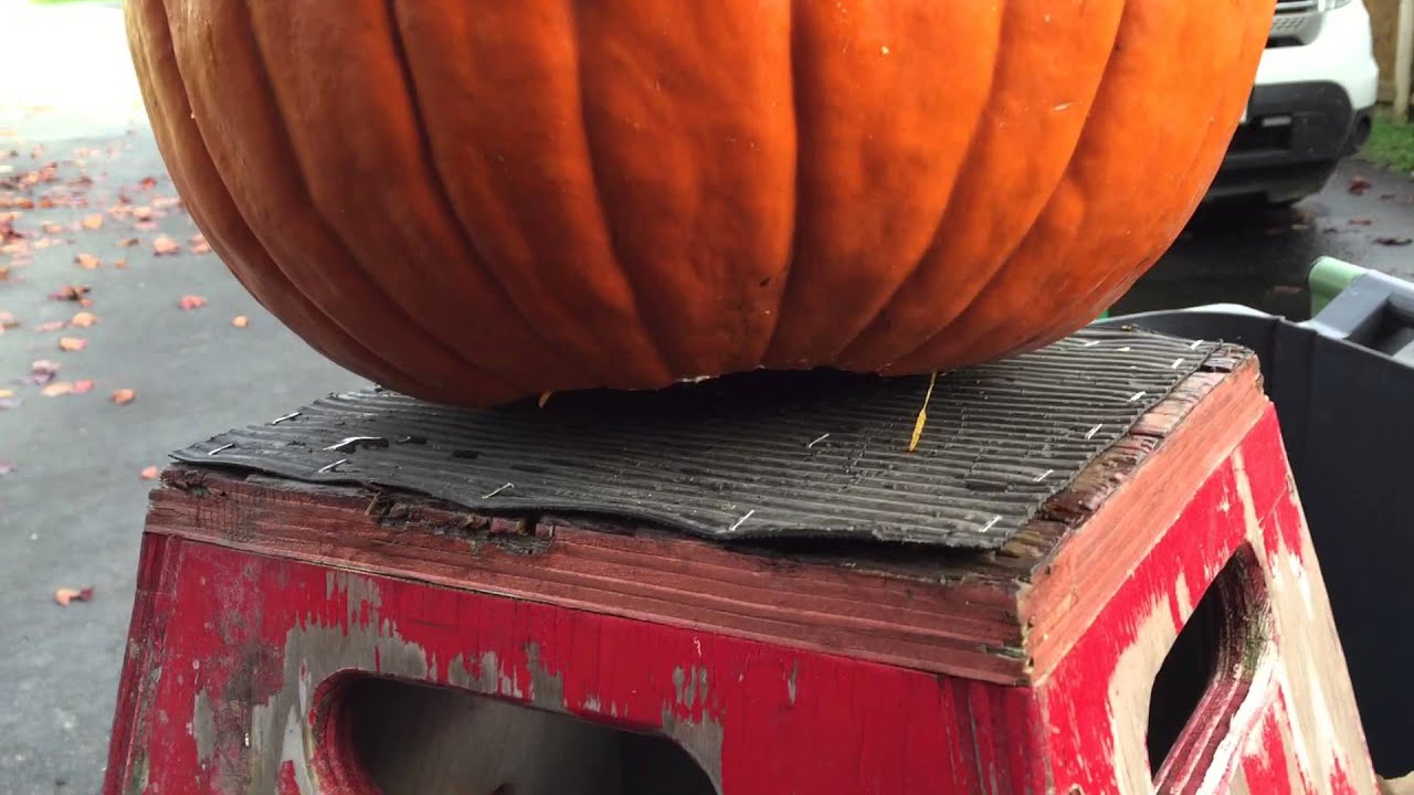 Pumpkin prep from the bottom - YouTube