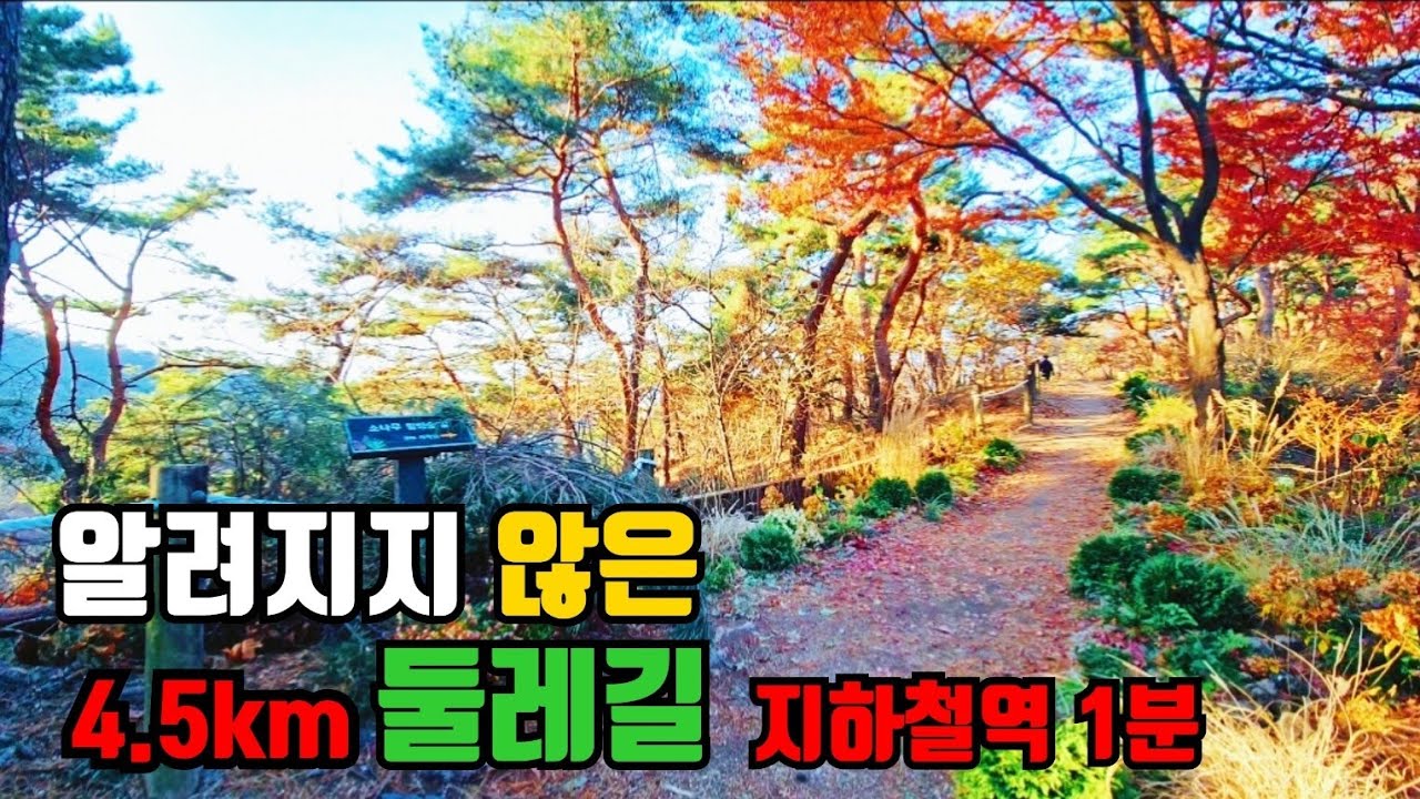 알려지지 않은 4.5km 둘레길ㅣ사계절 걷기 편한 코스ㅣ지하철역 1분 - YouTube