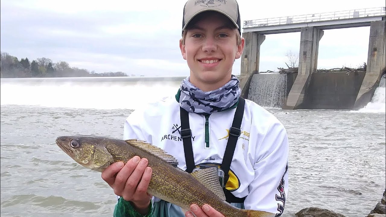 Catching Hybrids, Smallmouth, and Walleye at the John Sevier Dam!!Part ...