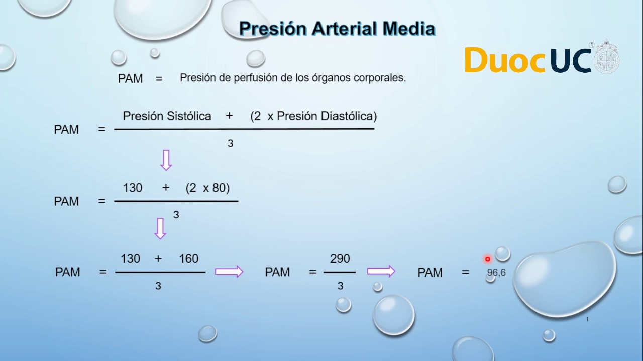 Presión Arterial Media - YouTube