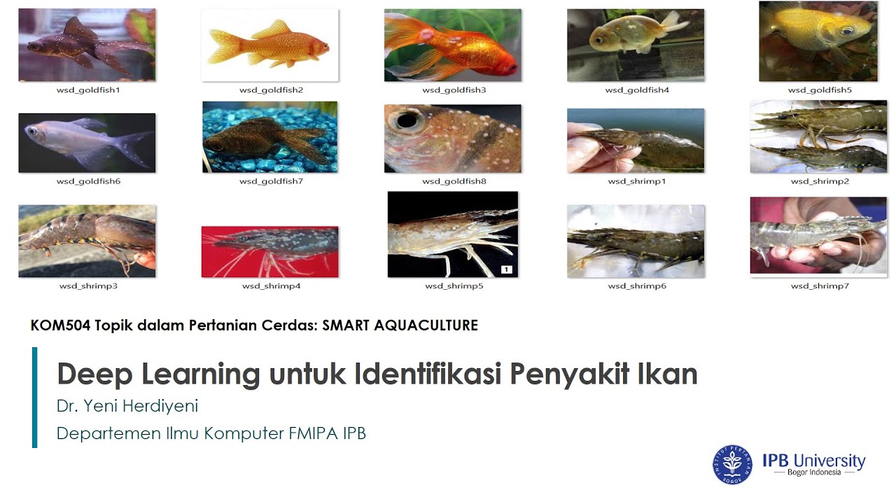 [SMART AQUACULTURE] Kuliah13 Deep Learning untuk Identifikasi Penyakit ...