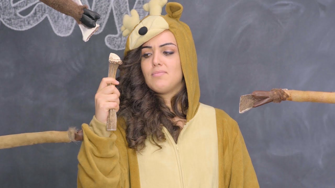 Prairie Dog Antler Dog Chews | Chewy - YouTube