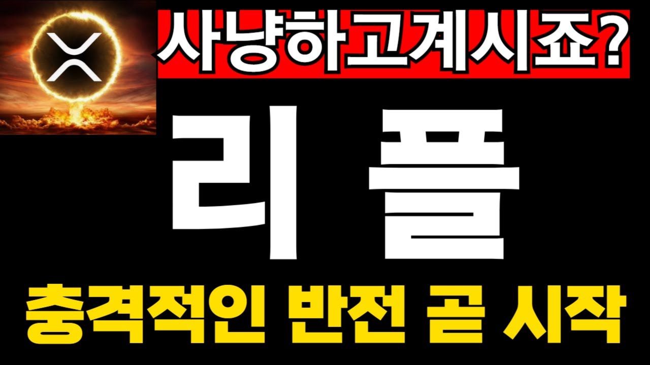 리플 사냥하고 계시죠 이거하나만은 꼭 하셔야 합니다 충격적인 반전 여기서 바로 이루어집니다 Xrp 리플xrp 리플전망