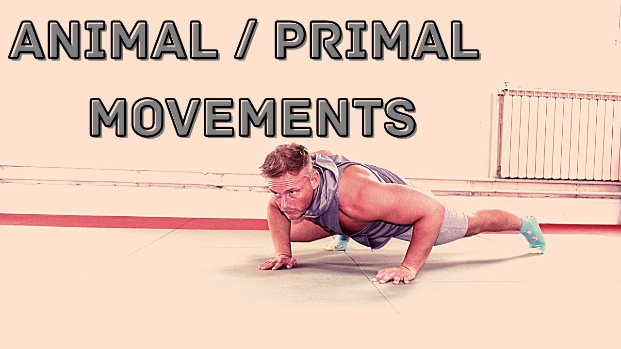 Animal / Primal movements for Judo & Fitness - YouTube