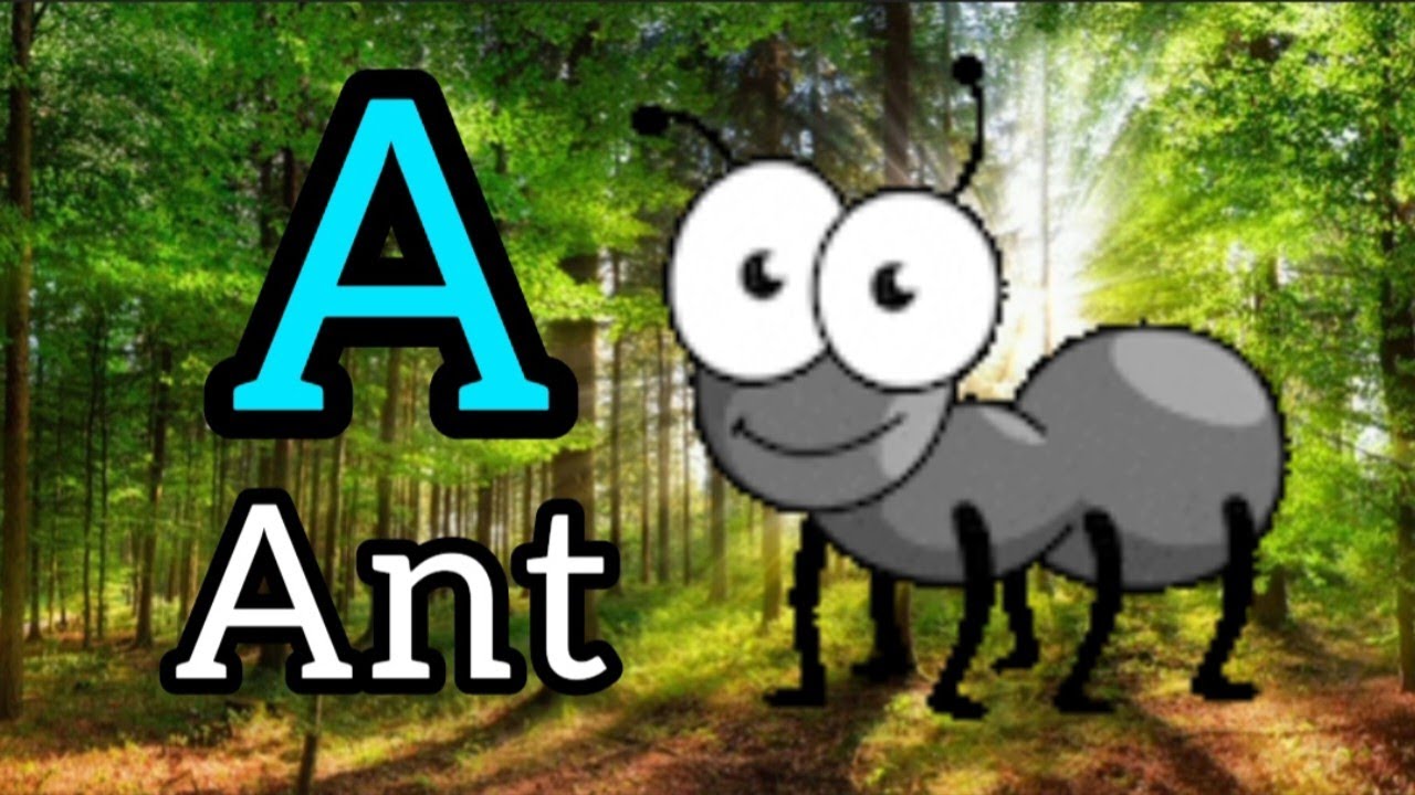 abcd song, abc phonics song, a for ant, alphabet song, abcd learn live ...