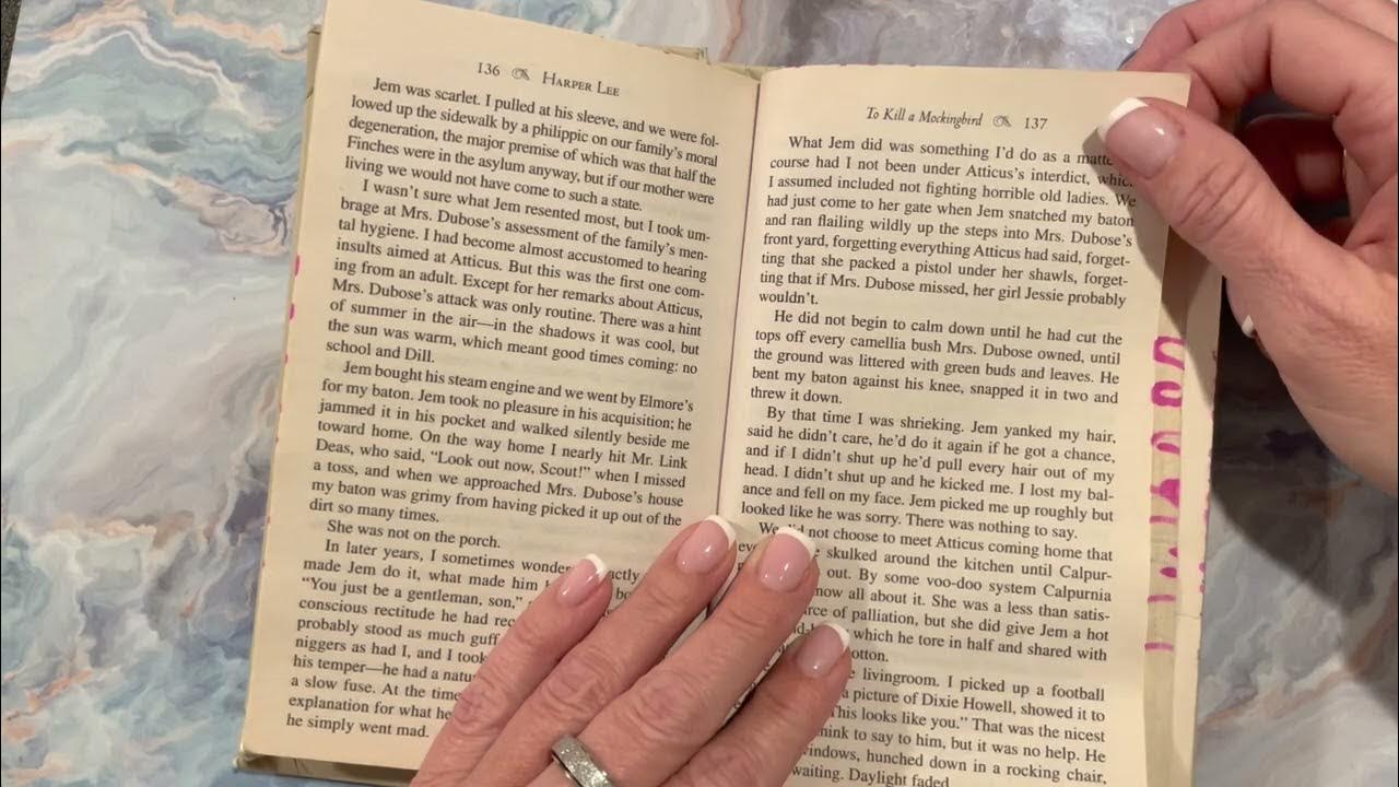 Chapter 11 of TKAM by Harper Lee (Cal's Reading) - YouTube