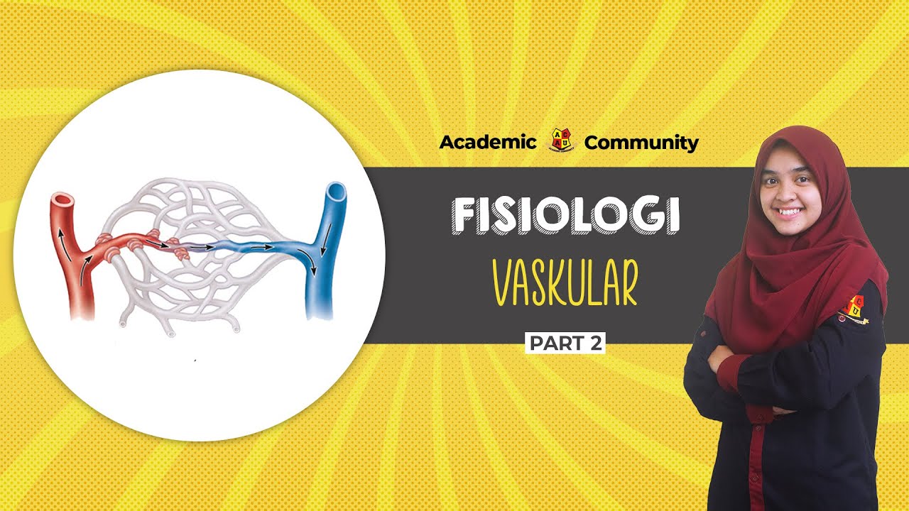 Fisiologi Sistem Vaskular - Part 2 | Physiology Video eps. 03 - YouTube