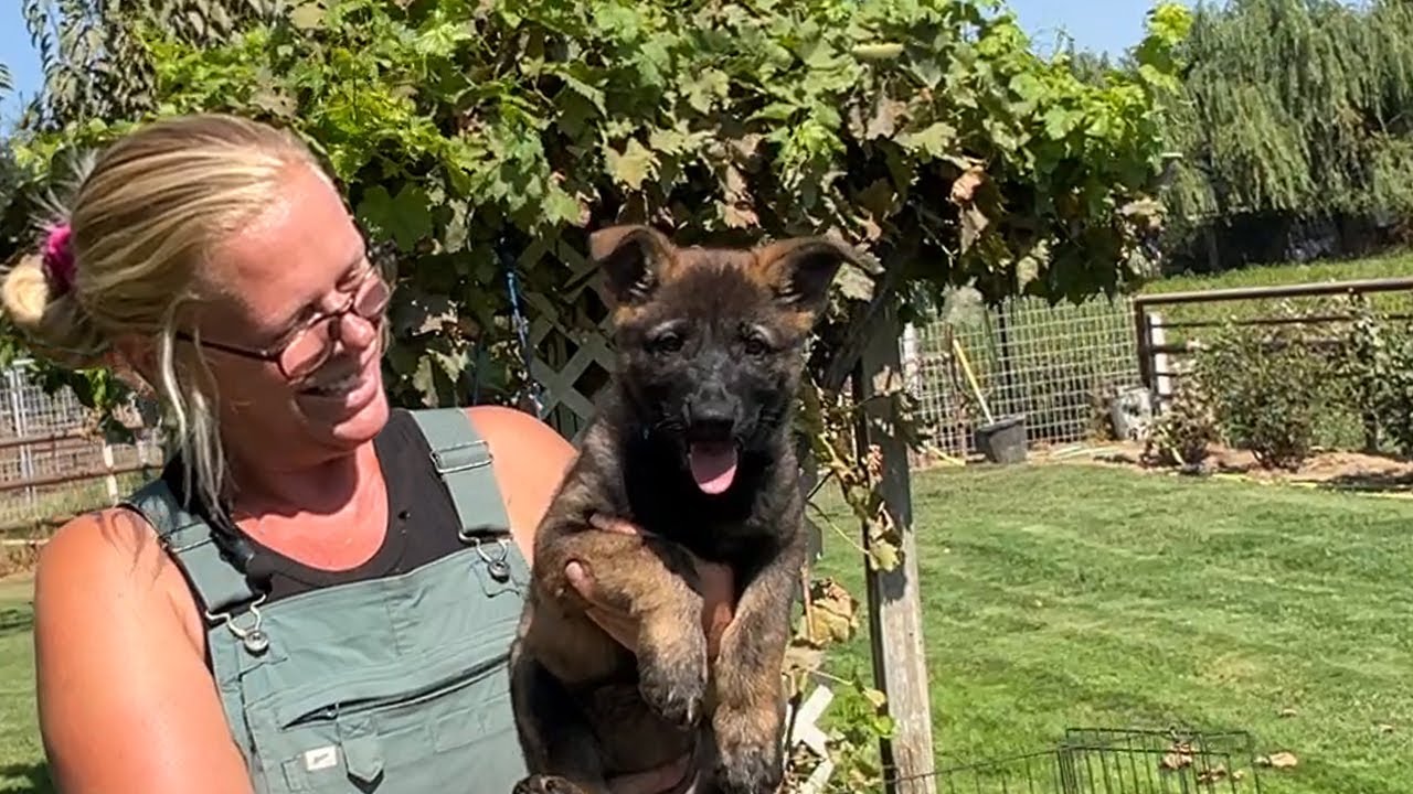 Danja of Kreative - YouTube