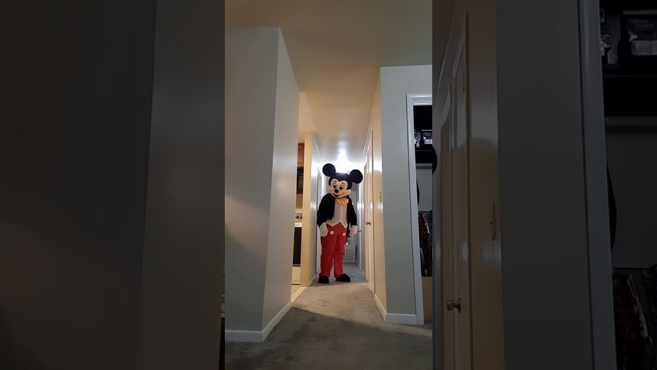 Stinky Mickey - YouTube