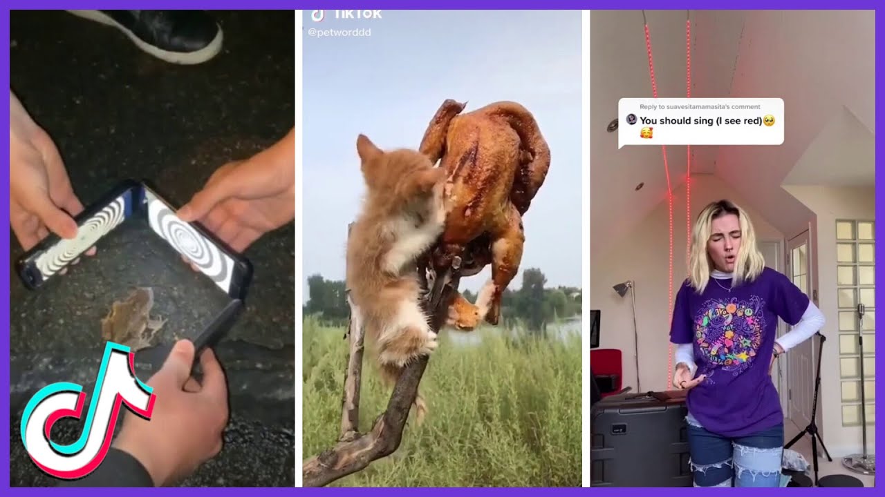 Tik Tok Video Mashup CLEAN (October) Crazy TikTok Compilations - YouTube