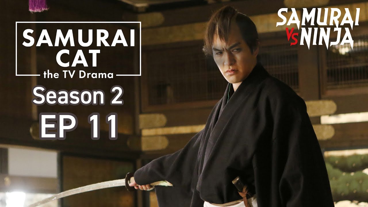 Samurai Cat Season 2 Full Episode 11 | SAMURAI VS NINJA | English Sub ...