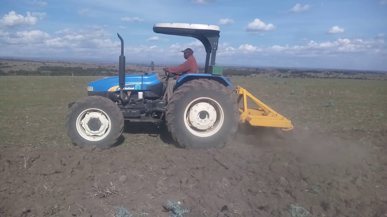 Wheat Farming In Narok County- Kenya - YouTube