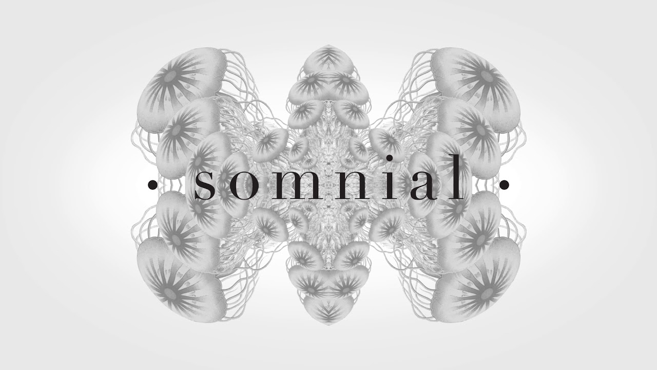 Somnial - Galbe (Official Artwork Video) - YouTube