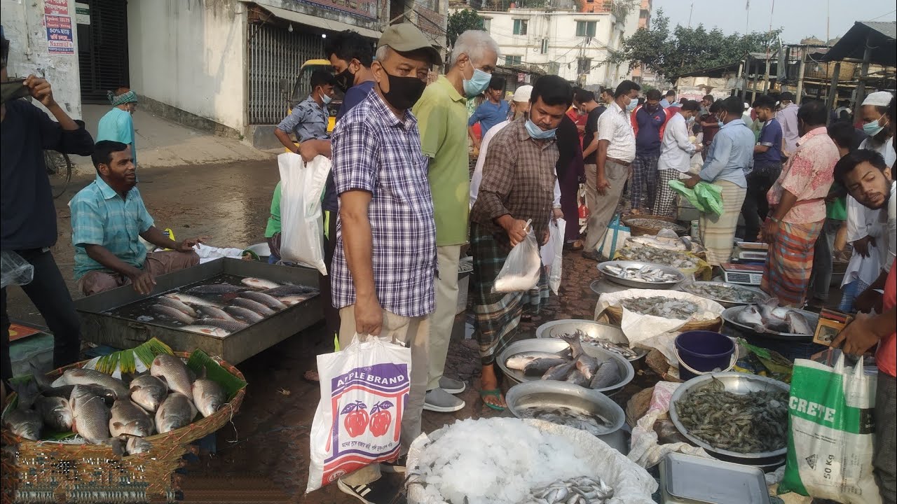 Amazing Fresh Morning Fish Market Badda || Dhaka in Bangladesh - YouTube