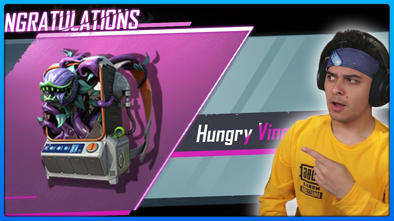 What is the BACKPACK skin?? 🔥PUBG MOBILE🔥 - YouTube