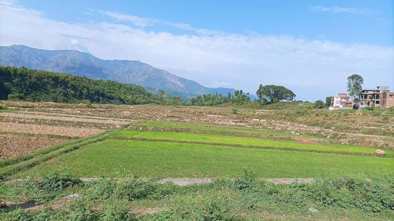 Pahadi Village Lifestyle Vlog || Dobri,Dehradun 😍😘 #uttarakhand # ...