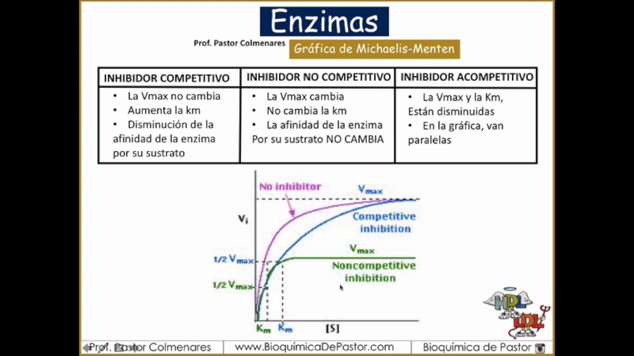 Inhibidores en gráfica de Michaelis-Menten | Enzimas parte XVII - YouTube