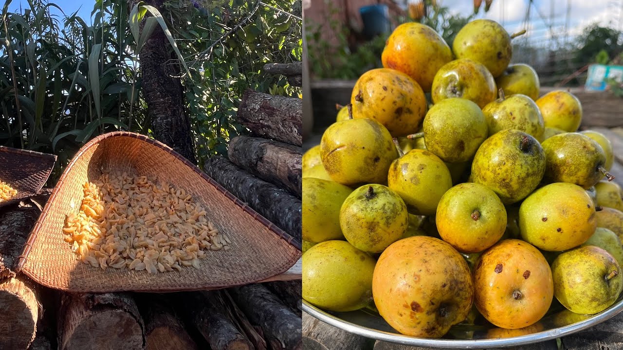 How to make Wild Apple 🍏 Candy. - YouTube