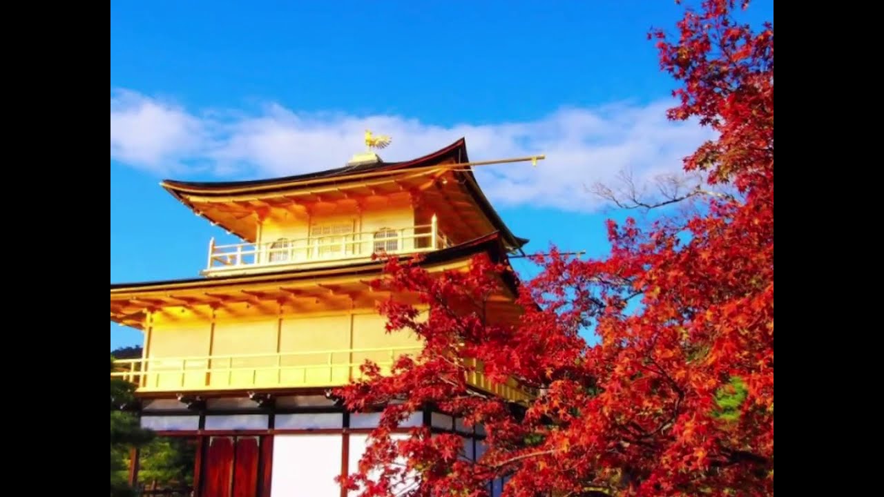 Castelo de Ouro Kyoto Japão - YouTube