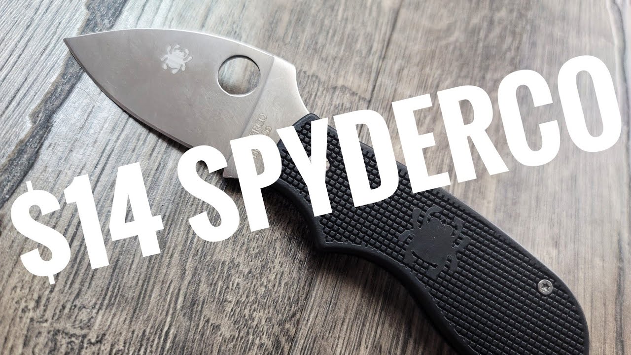 Best Mini EDC Knife How to Spot Fake SPYDERCO $14 Wish Tenacious ...