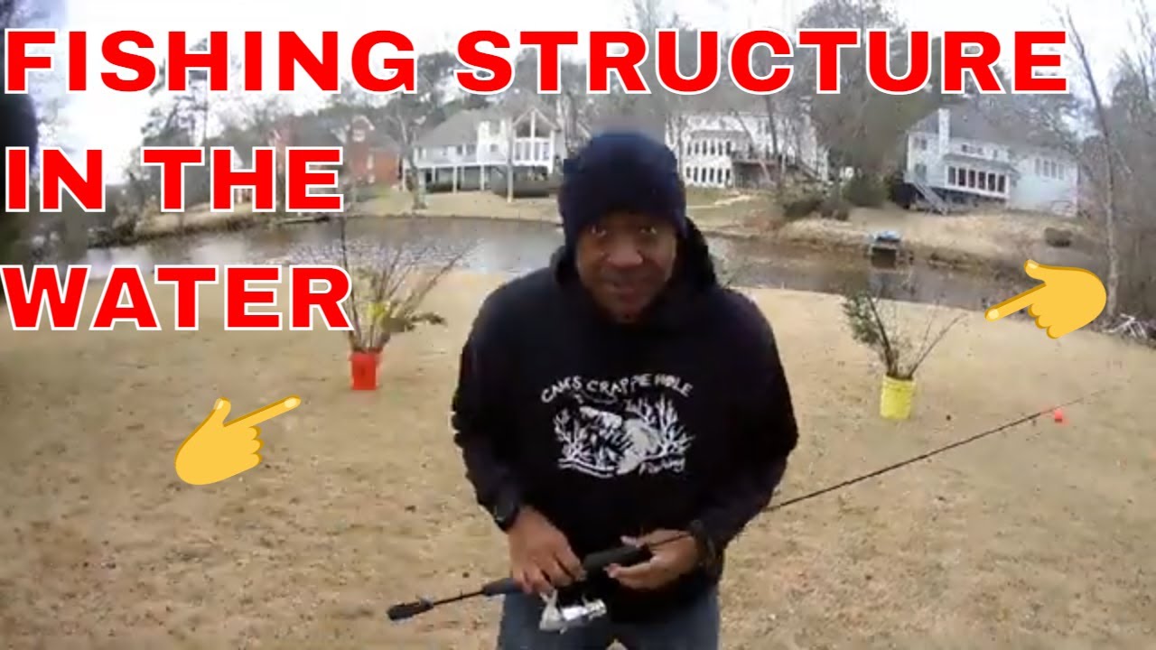 HOW I APPROCH & BREAKDOWN BEST WAYS TO FISH STRUCTURE TREE'S AND STUMPS ...