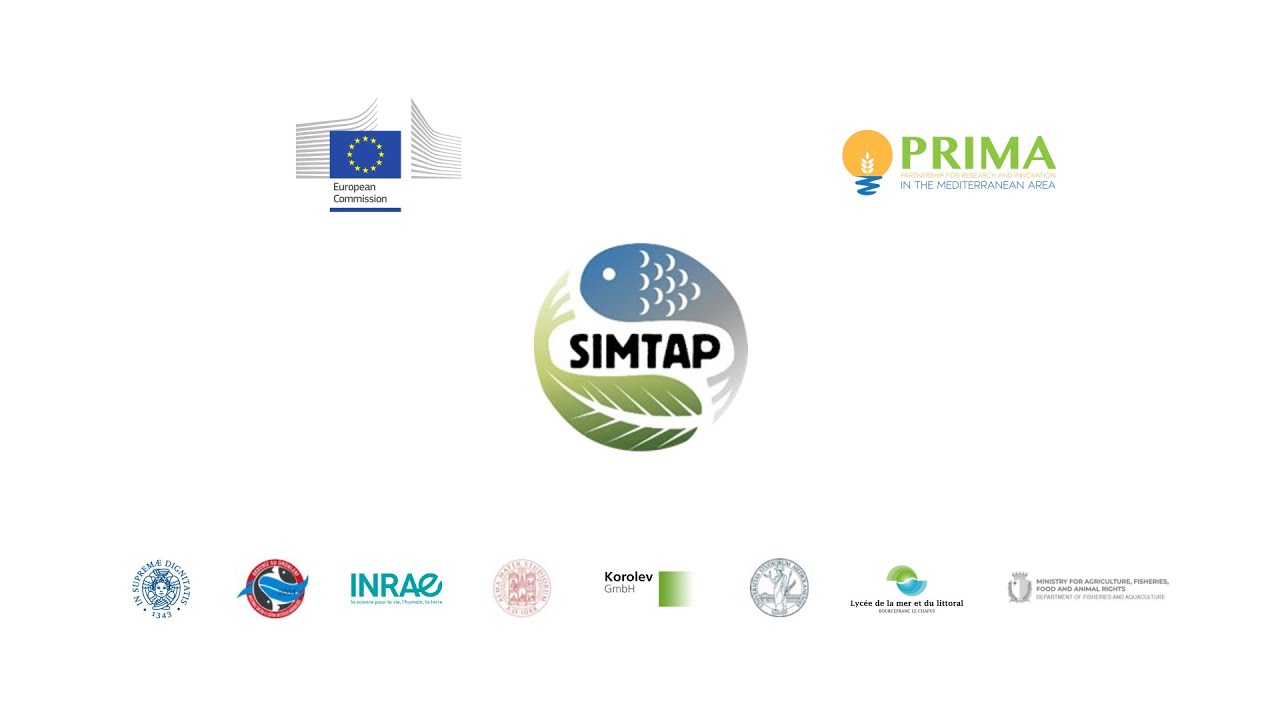 Discover the SIMTAP project and watch the videointerviews! - YouTube
