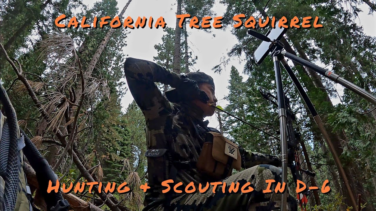 2024 Tree Squirrel Hunting & Scouting in D-6 | Yos Haav Zoov - YouTube