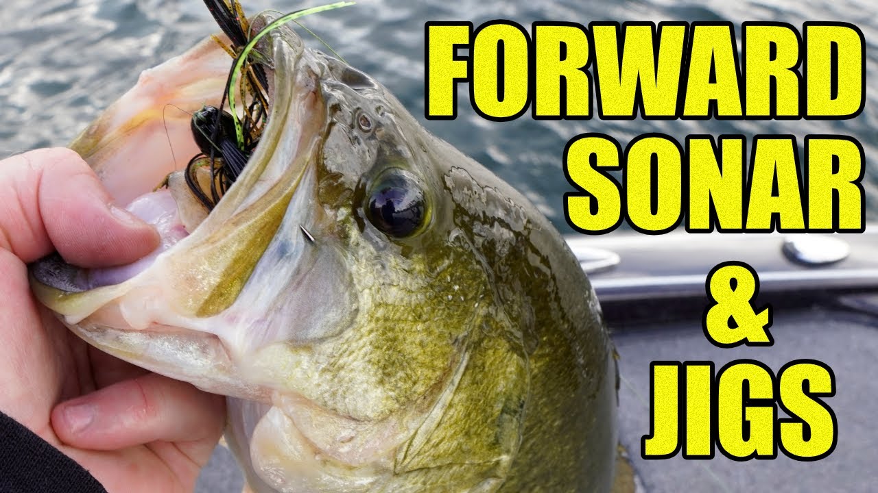 Unleashing the Power of Humminbird Mega Live Forward Facing Sonar - YouTube