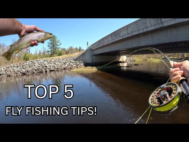 Fly Fishing For Beginners~5 Things You Need To Know! - Fishing