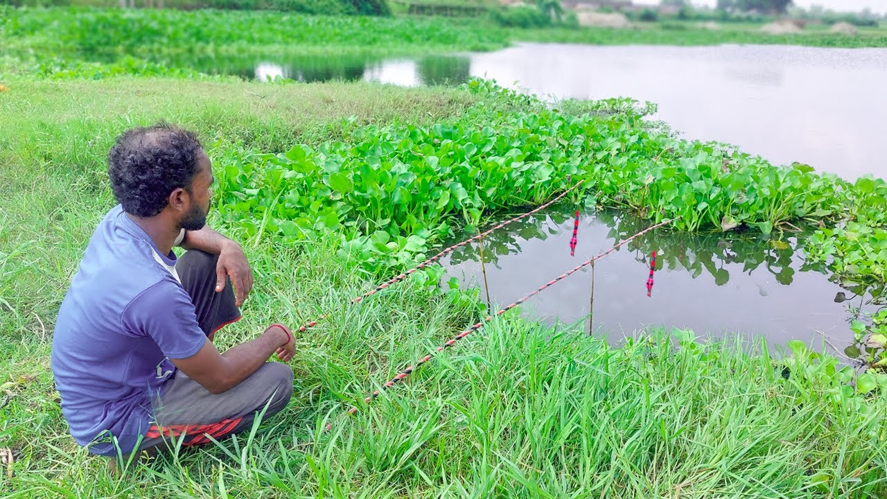 Amazing Unique Hook Fishing Technique Form Pond Village Boy Hunting Big ...