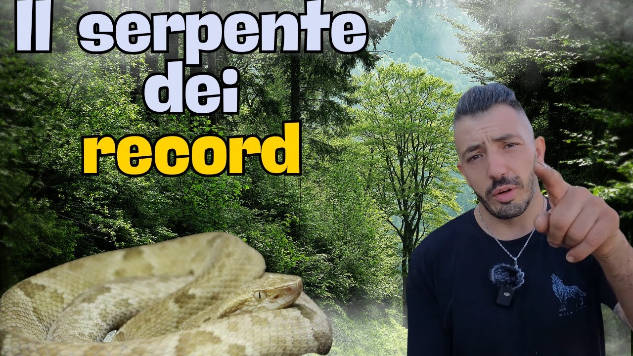 Il SERPENTE dei record!! - YouTube